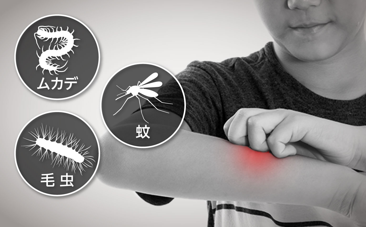 PVAアルファEX液｜ドラッグストアで買えるNID PB